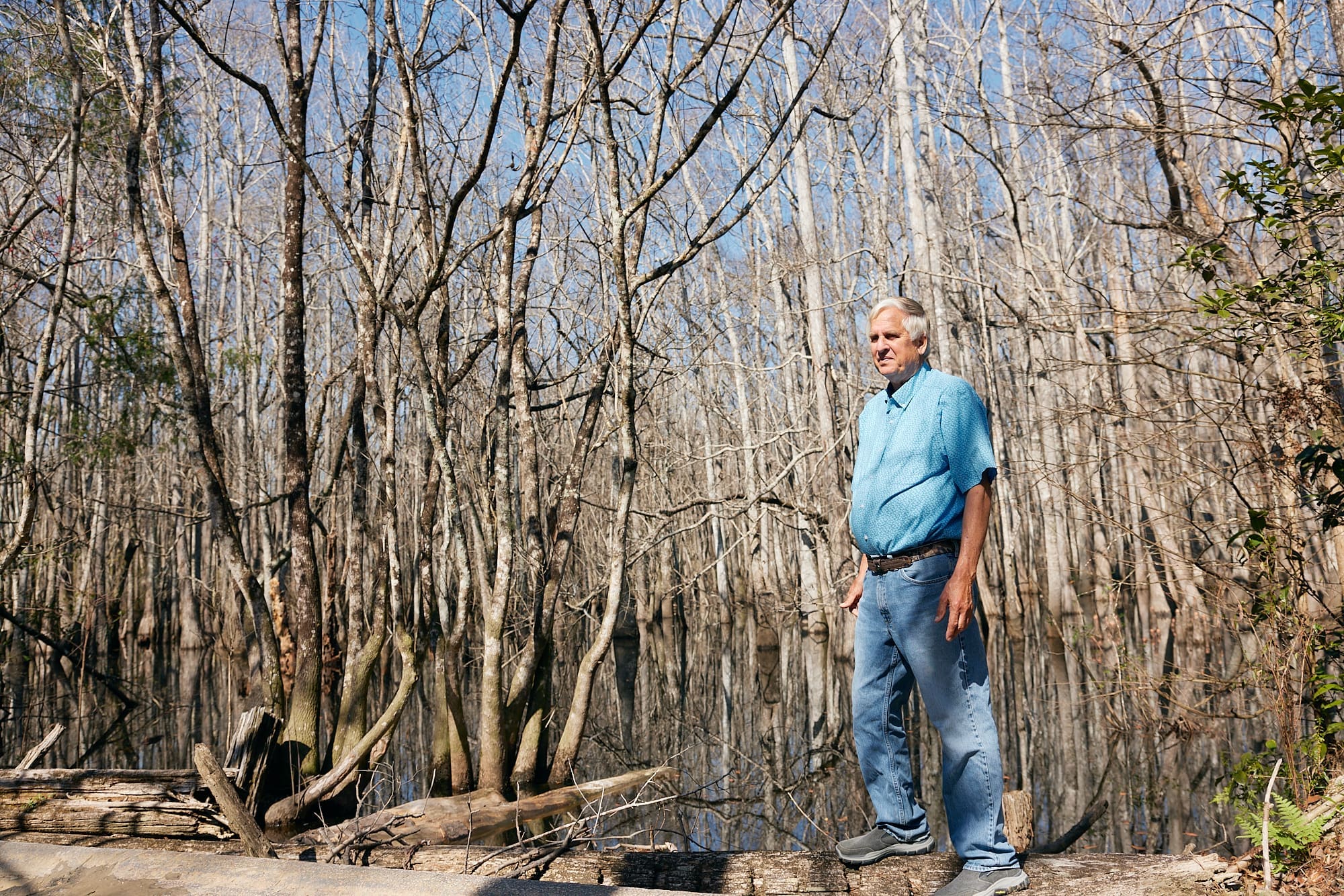 Florida's Iconic Tupelo Honey is in a Sticky Situation. Can Beekeepers ...