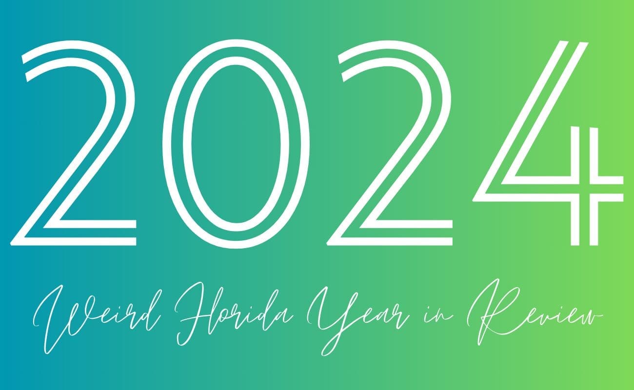 Weird Florida: The Wildest Headlines From 2024 | Flamingo Magazine